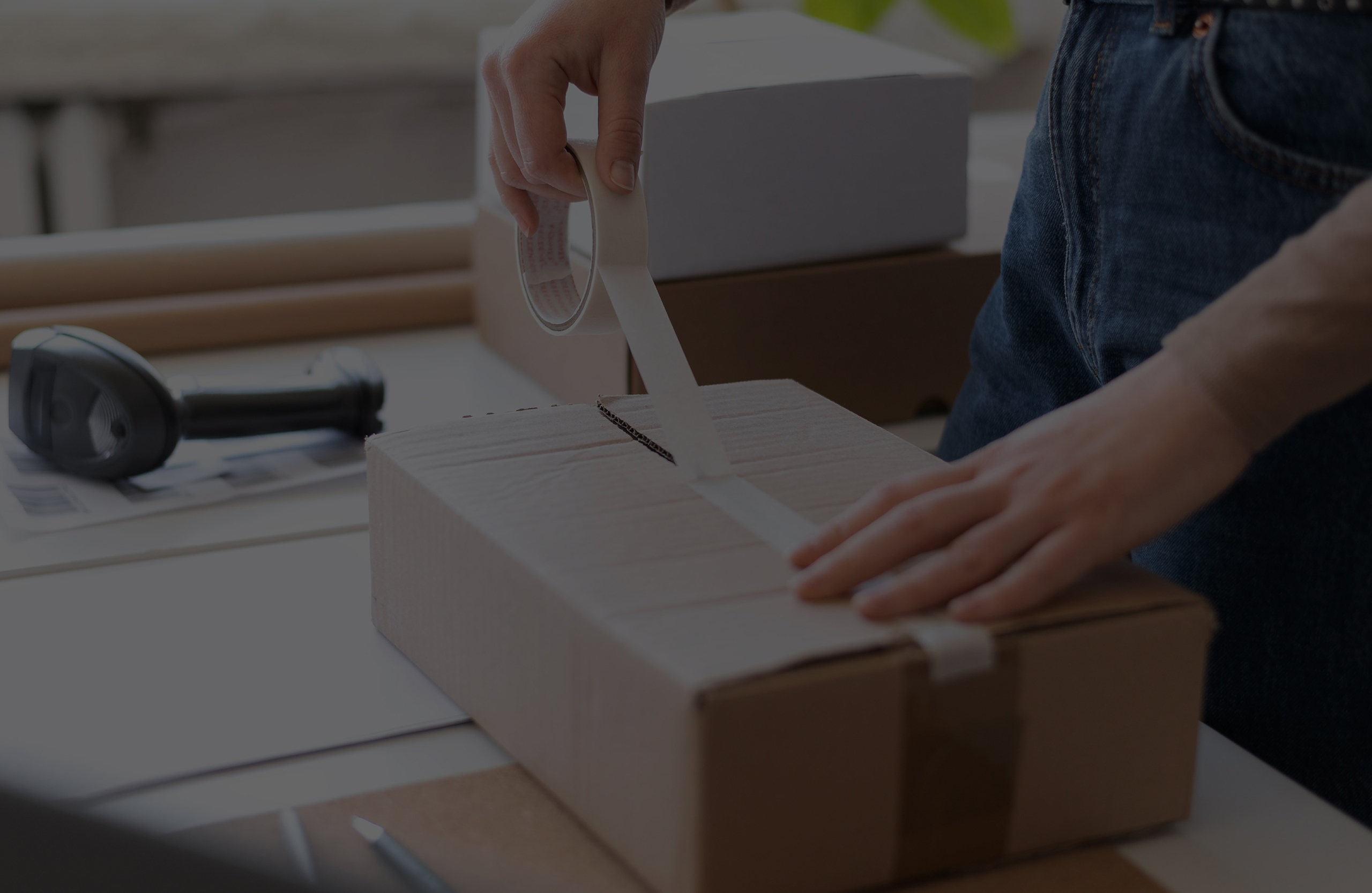 Inicio - Balance Logistics